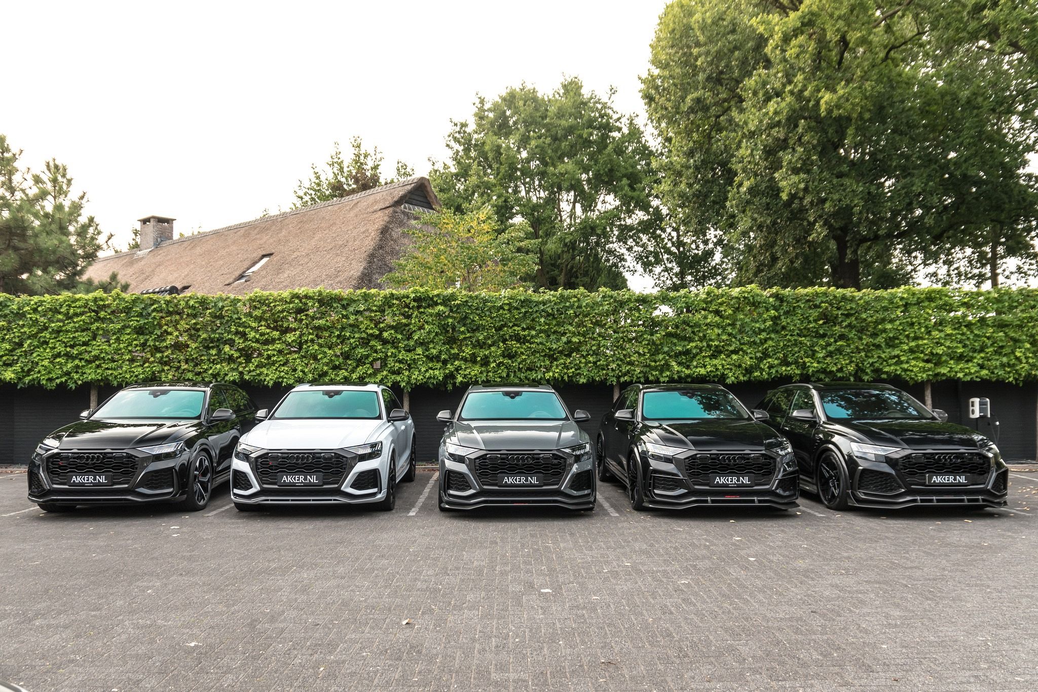 Audi RSQ8: Topmodel in SUV-segment | VD AKKER